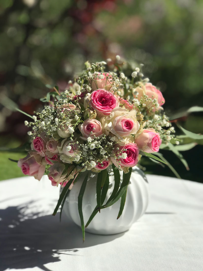 Rosen „Mimi Eden“ – weiss & schwarz