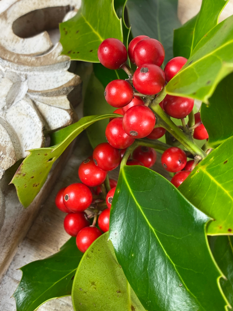 Winterdeko mit Ilex Zweigen – weiss & schwarz