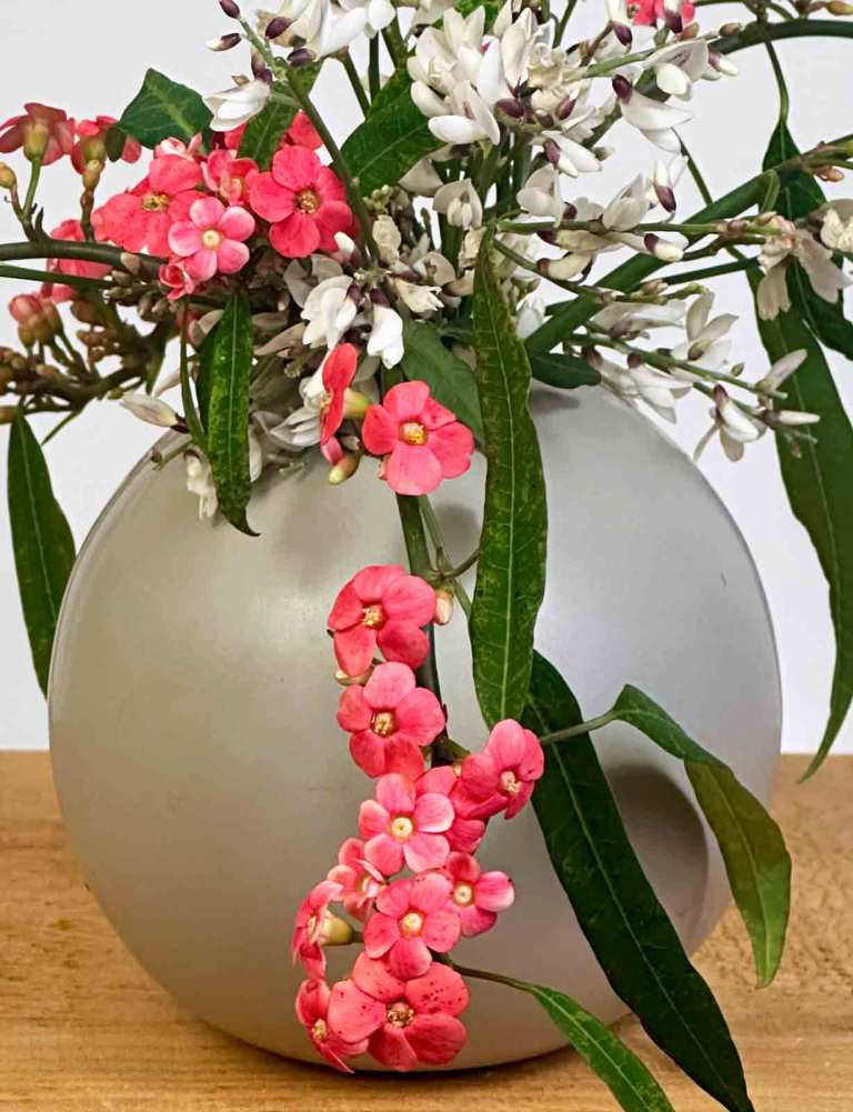 gm10 – weiss & schwarz